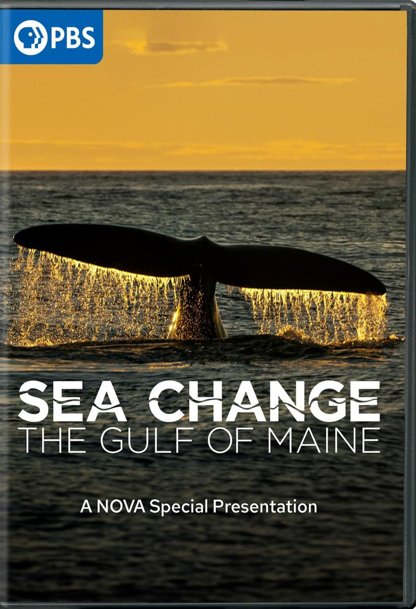 Sea Change: The Gulf of Maine (DVD) – Videomatica Ltd (since 1983)