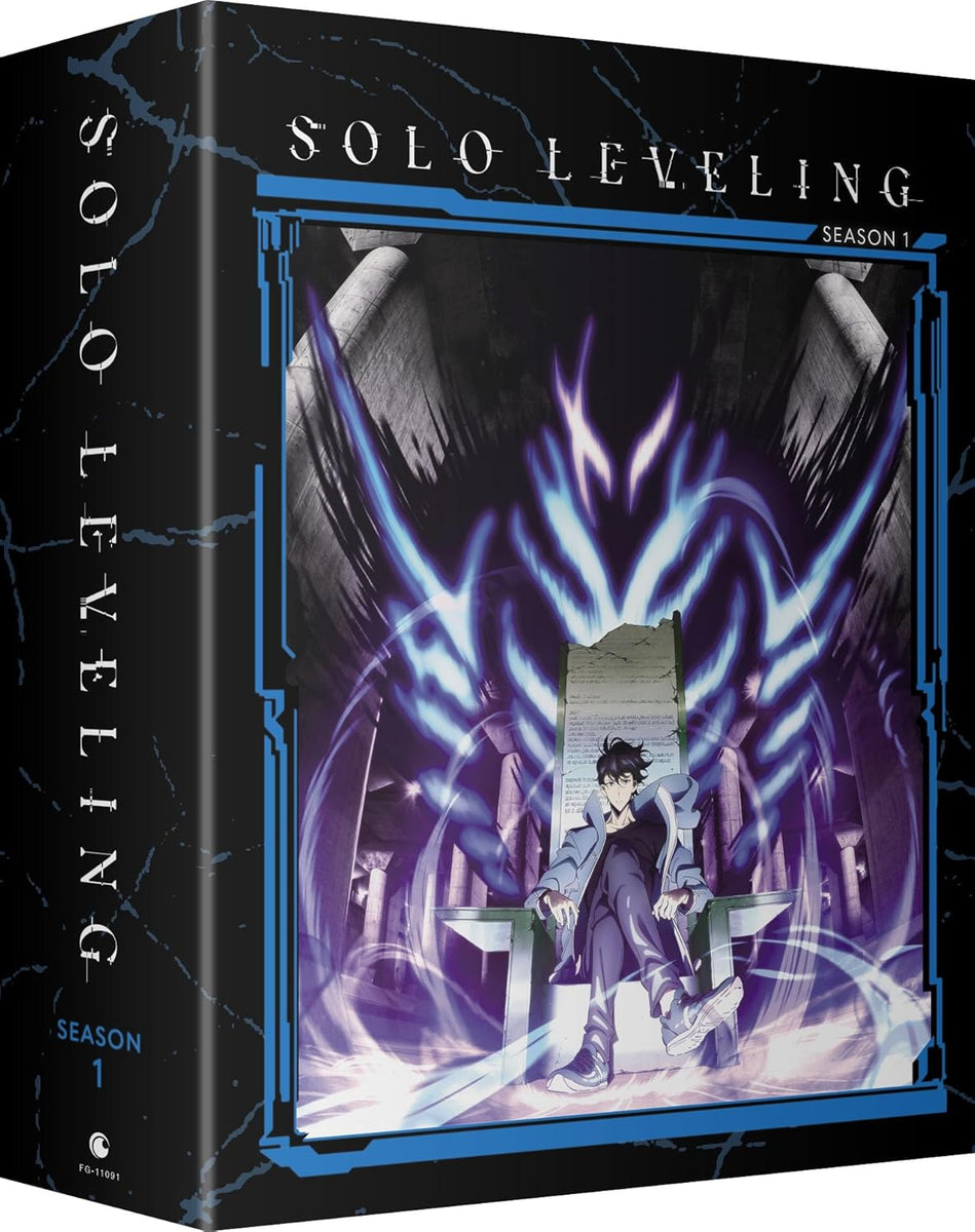 Solo Leveling: Season 1 (Limited Edition BLU-RAY/DVD Combo ...